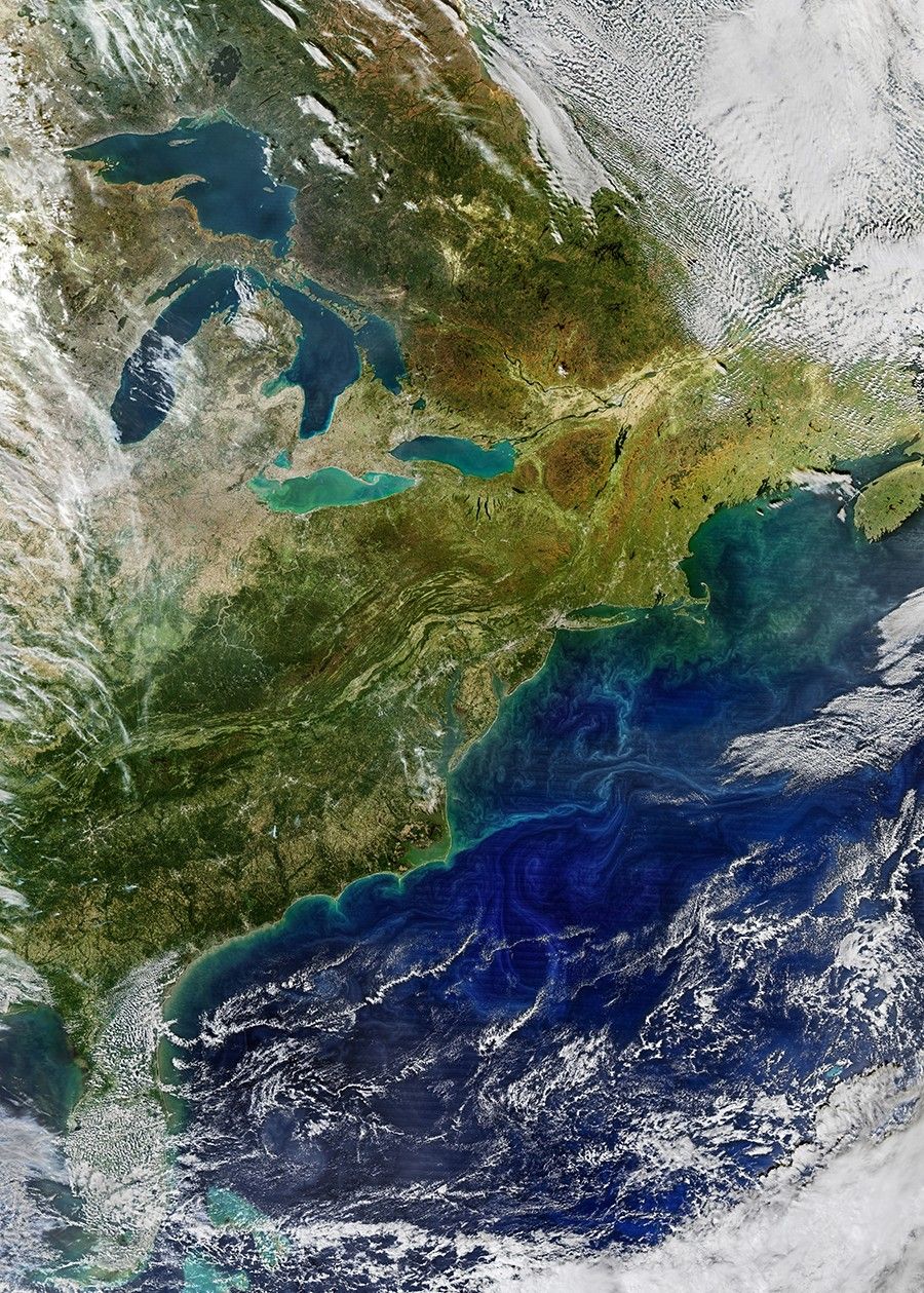 Photosynthetic pigments by land and sea - NASA Science