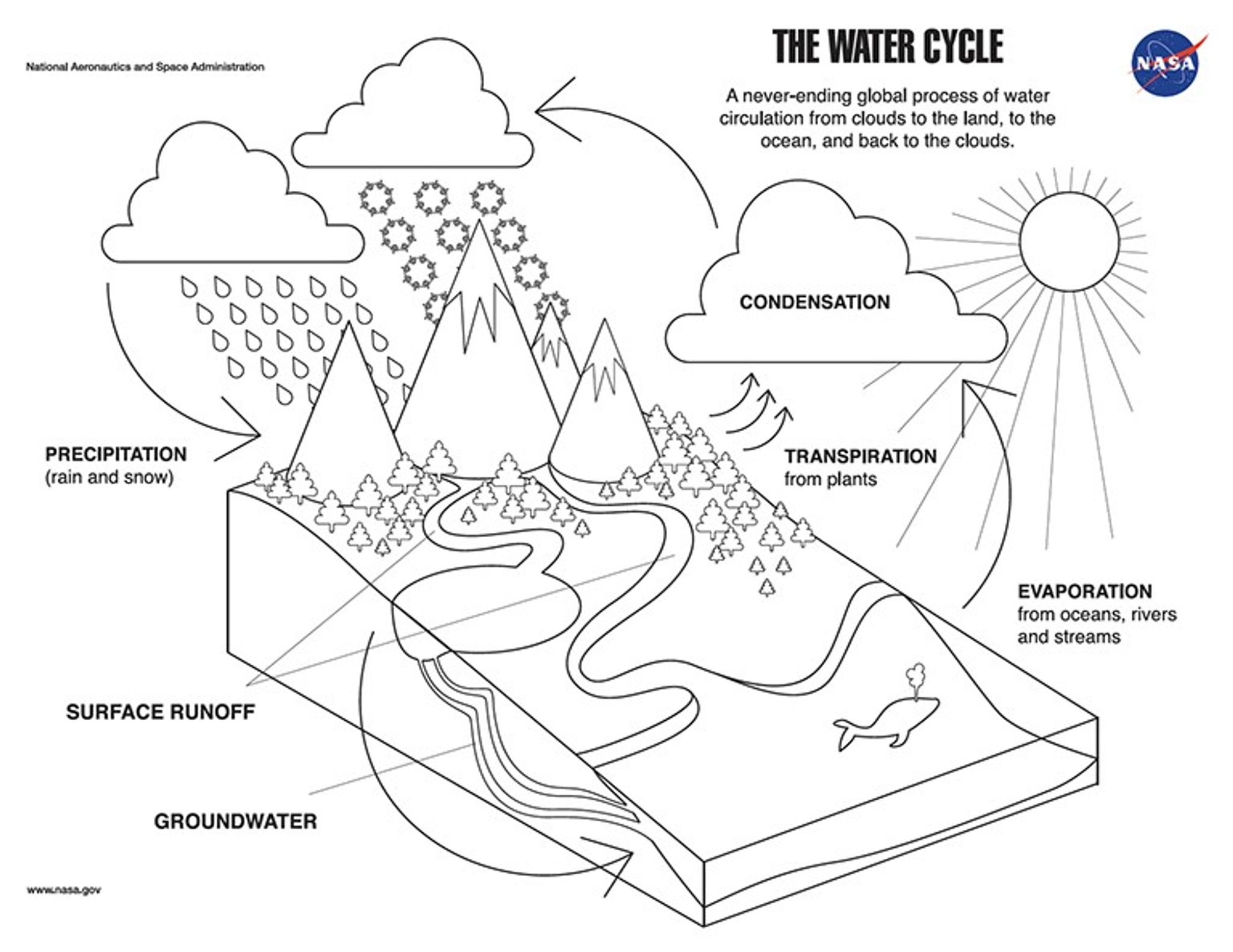 Coloring Page: The Water Cycle - NASA Science