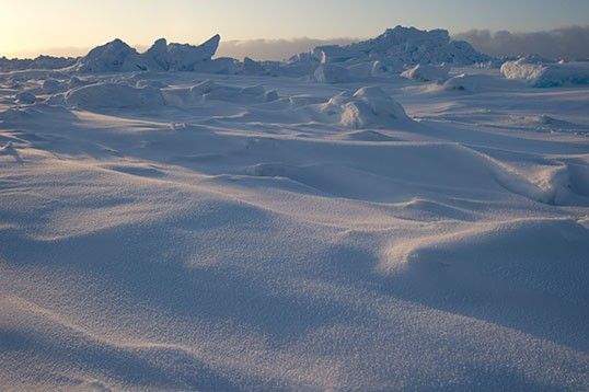NASA data reveals declining Arctic snow depth - NASA Science