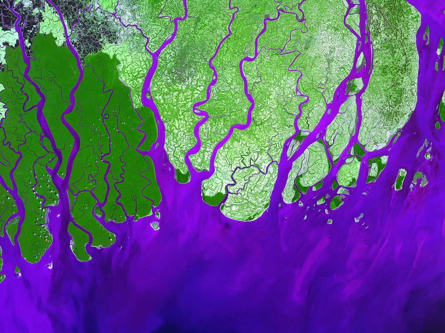 Ganges River Delta - NASA Science