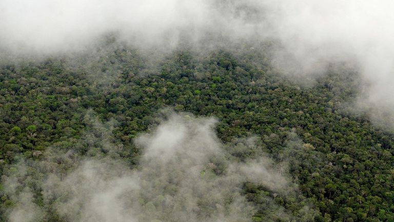 New study shows the Amazon makes its own rainy season - NASA Science