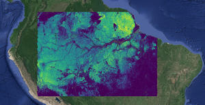 Summary of the 2025 GEDI Science Team Meeting - NASA Science