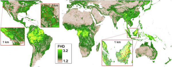 Summary of the 2025 GEDI Science Team Meeting - NASA Science