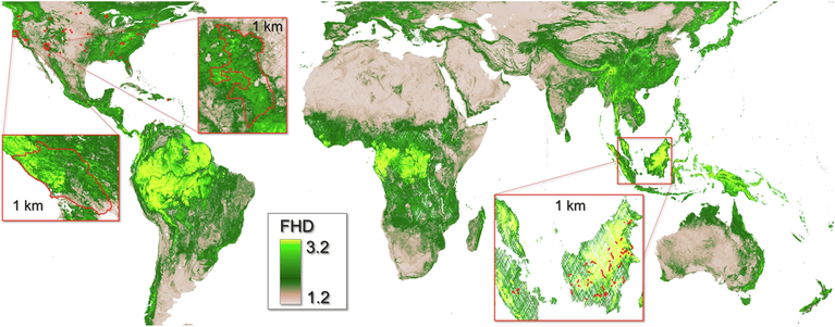 Summary of the 2025 GEDI Science Team Meeting - NASA Science