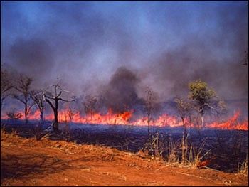 Biomass Burning - NASA Science