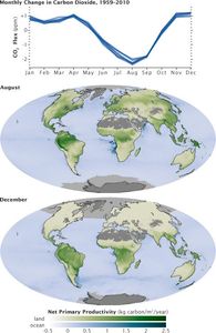 The Carbon Cycle - NASA Science
