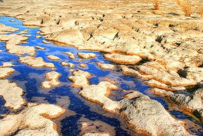 The Carbon Cycle - NASA Science