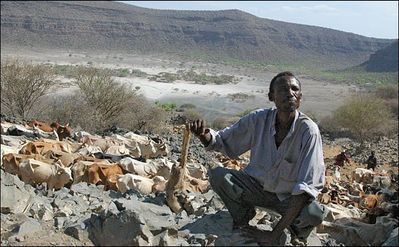 Defining Desertification - NASA Science