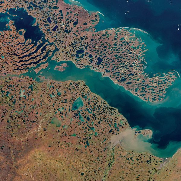 Search the Earth Observatory - NASA Science