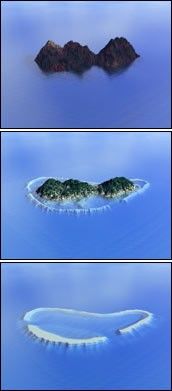 atoll formation process