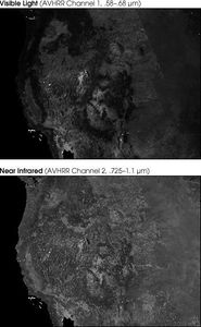 Measuring Vegetation (NDVI & EVI) - NASA Science