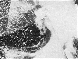 Space-based Observations of the Earth - NASA Science