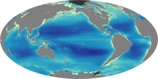 What are Phytoplankton? - NASA Science