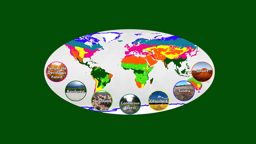 Mission: Biomes - NASA Science