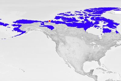 Biome: Tundra - NASA Science