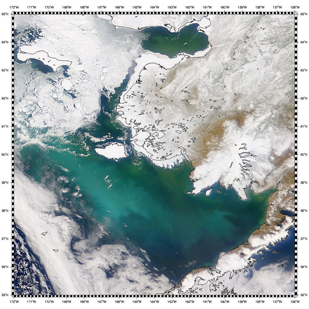 New Coccolithophore Bloom in Bering Sea - NASA Science