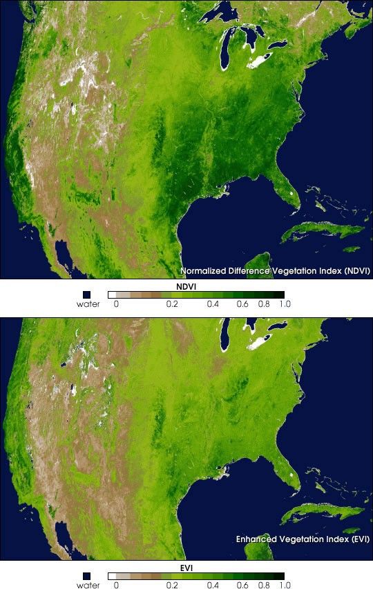 Spring Vegetation in North America - NASA Science