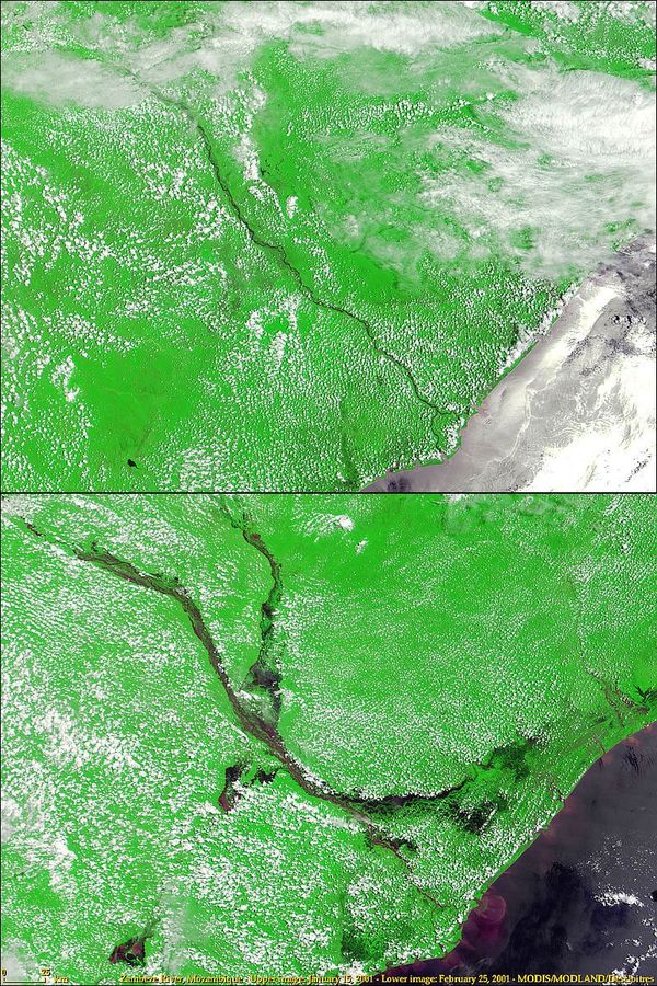 Flooded Zambeze River - NASA Science