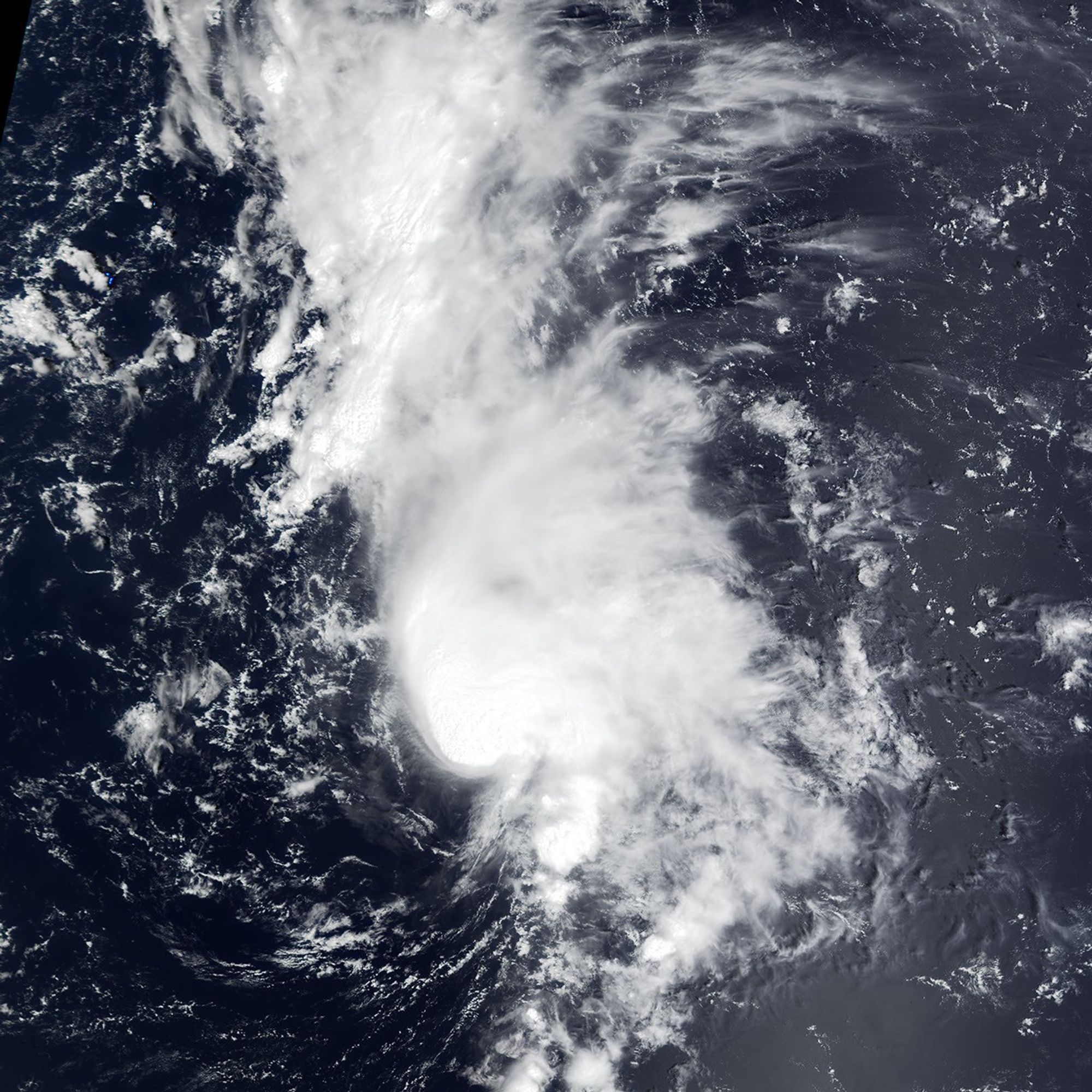 Tropical Storm Dolly off the Leeward Islands - NASA Science