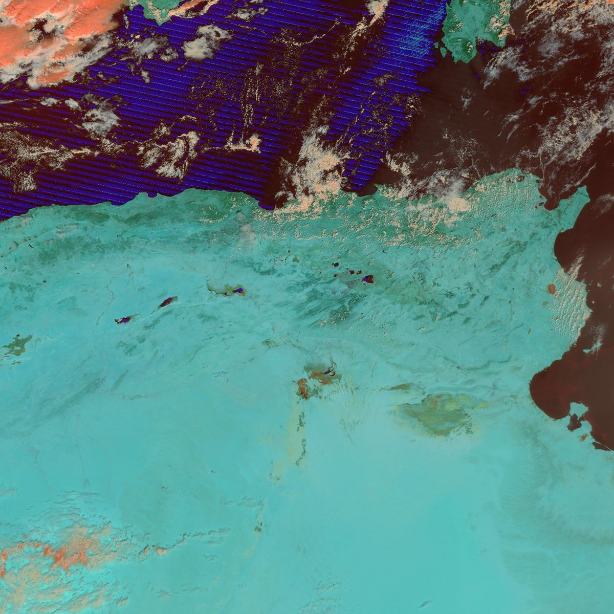 Flooding in Algeria - NASA Science