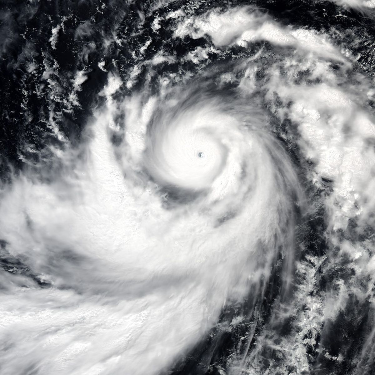 Super Typhoon Dianmu - NASA Science