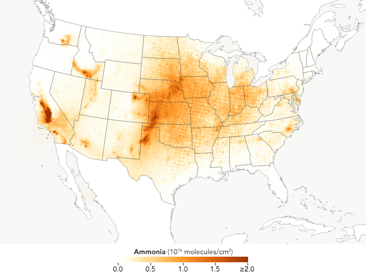 The Seasonal Rhythms of Ammonia - NASA Science