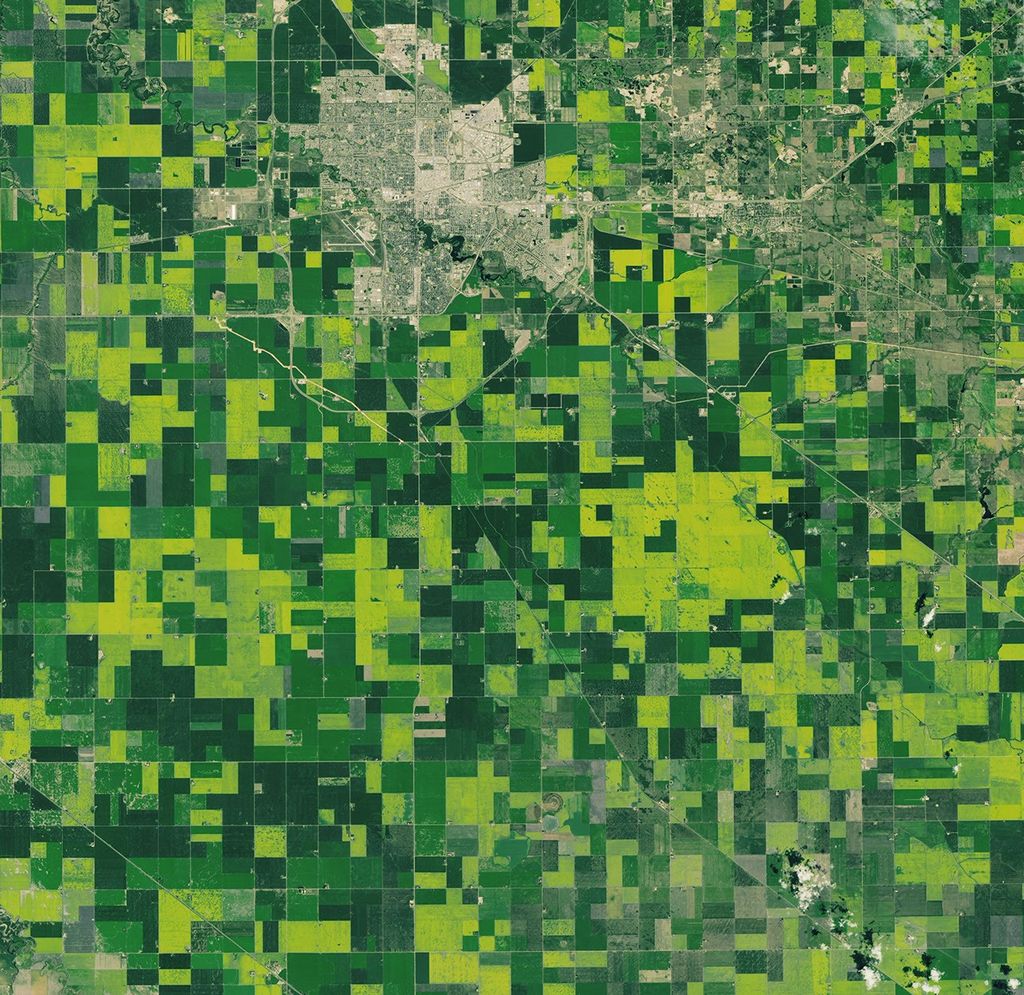 Canadian Canola Fields - NASA Science