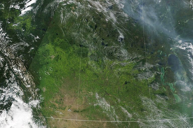 Canadian Canola Fields - NASA Science