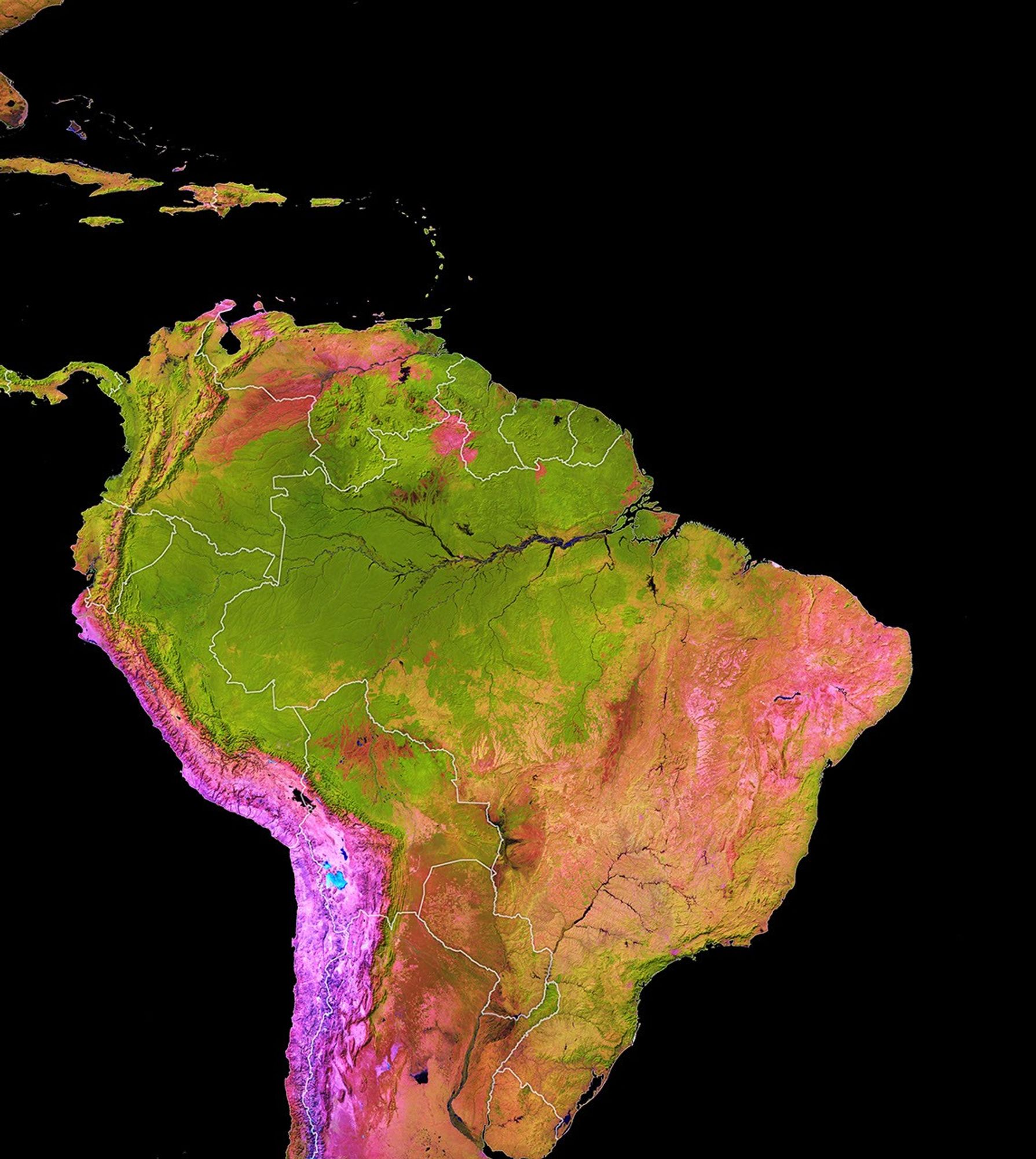 Mapping the Amazon - NASA Science