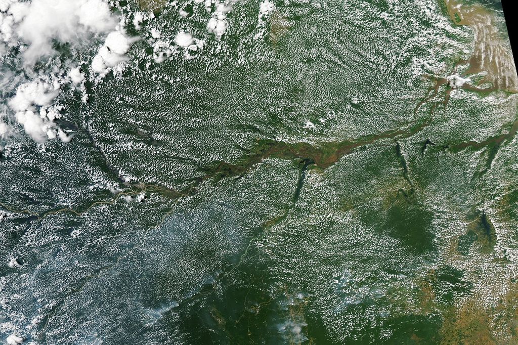 Mapping the Amazon - NASA Science