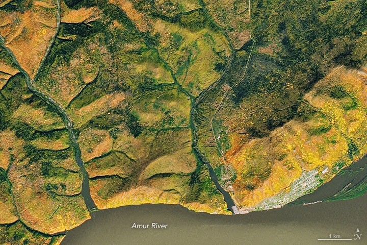 amur river direction