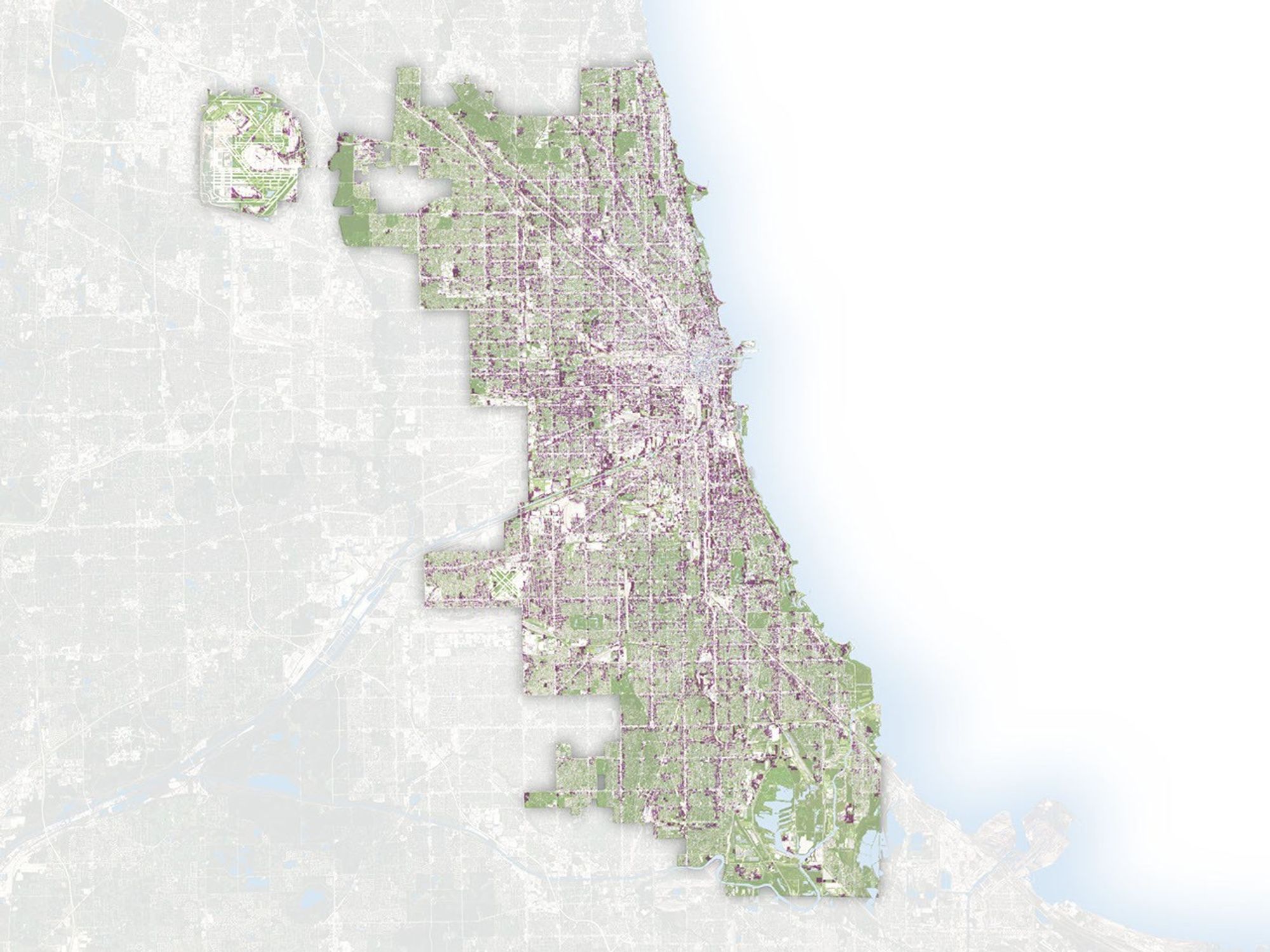 Night Lights Can Disrupt Wildlife - NASA Science