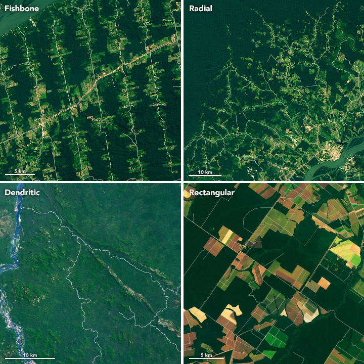 nasa deforestation data