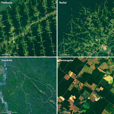 Making Sense of Amazon Deforestation Patterns - NASA Science