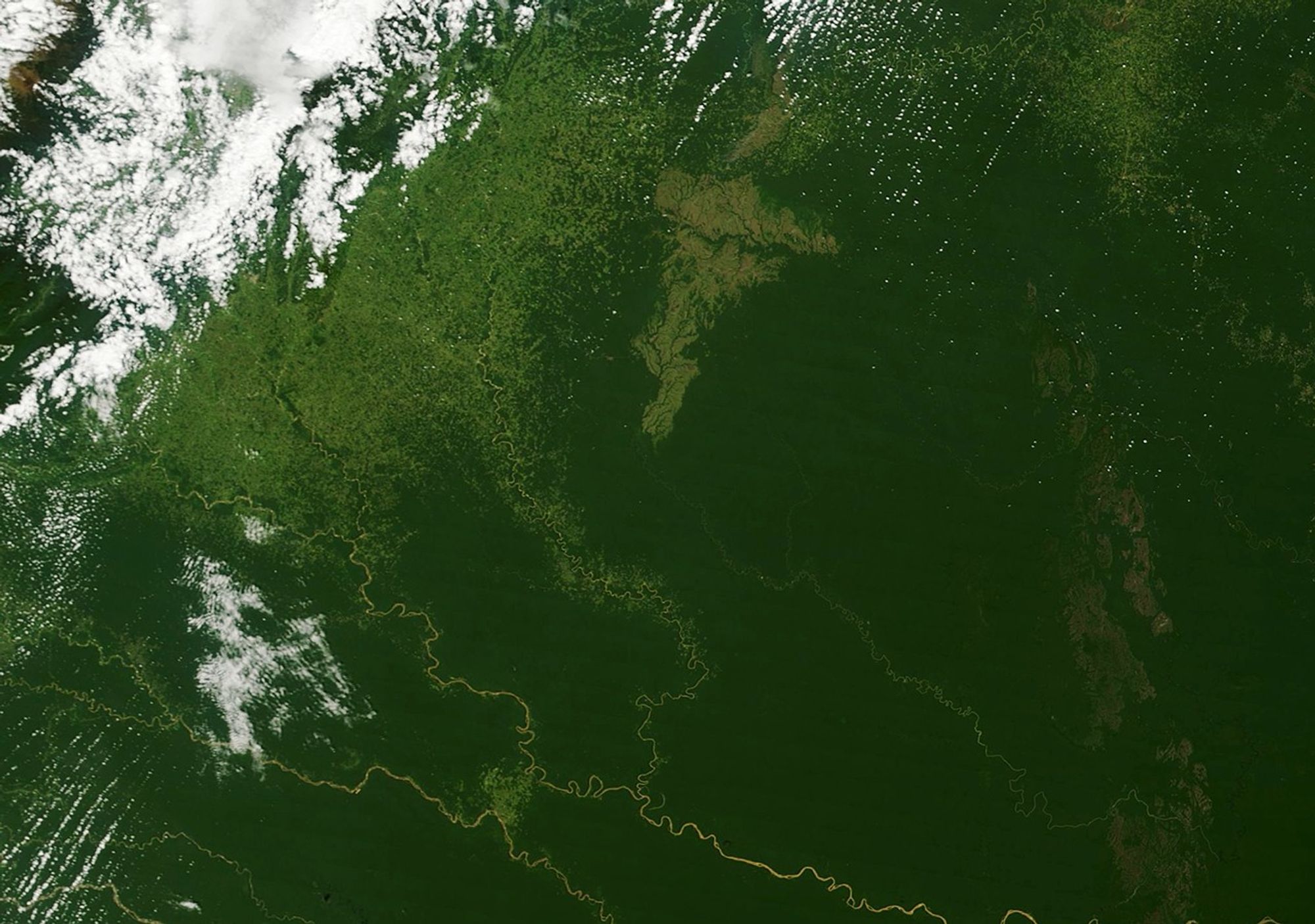 Making Sense of Amazon Deforestation Patterns - NASA Science