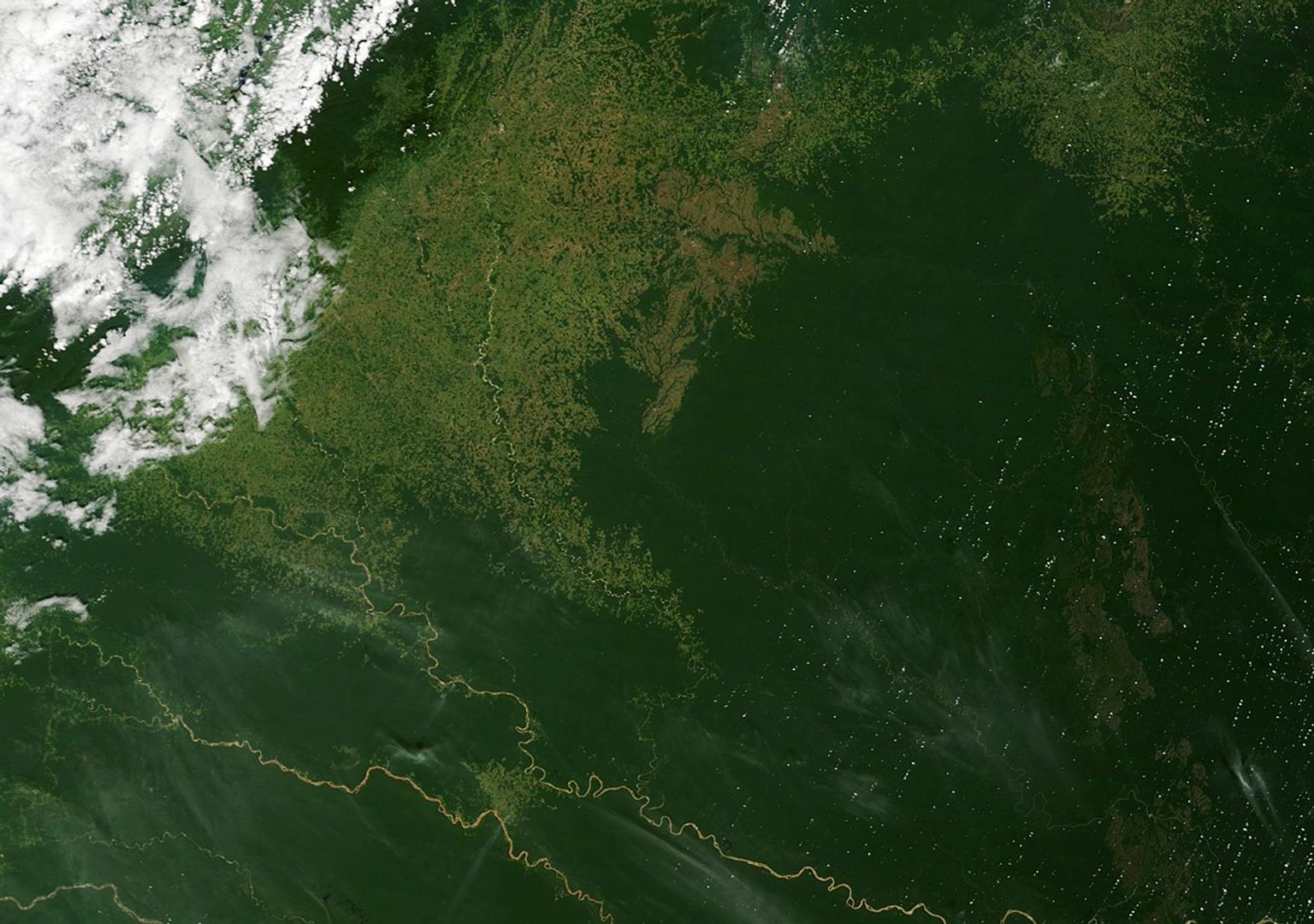 Making Sense of Amazon Deforestation Patterns - NASA Science