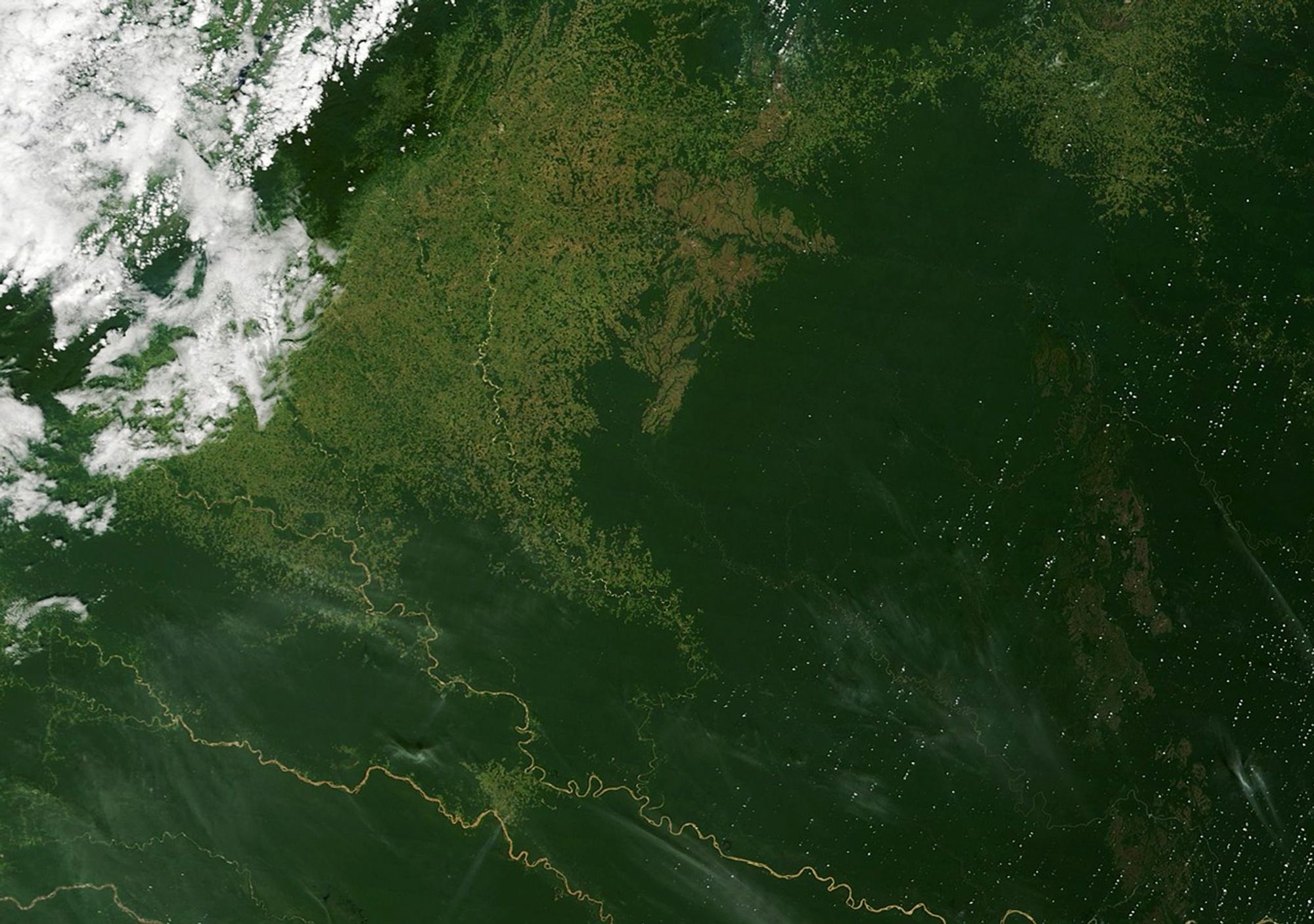 Making Sense of Amazon Deforestation Patterns - NASA Science