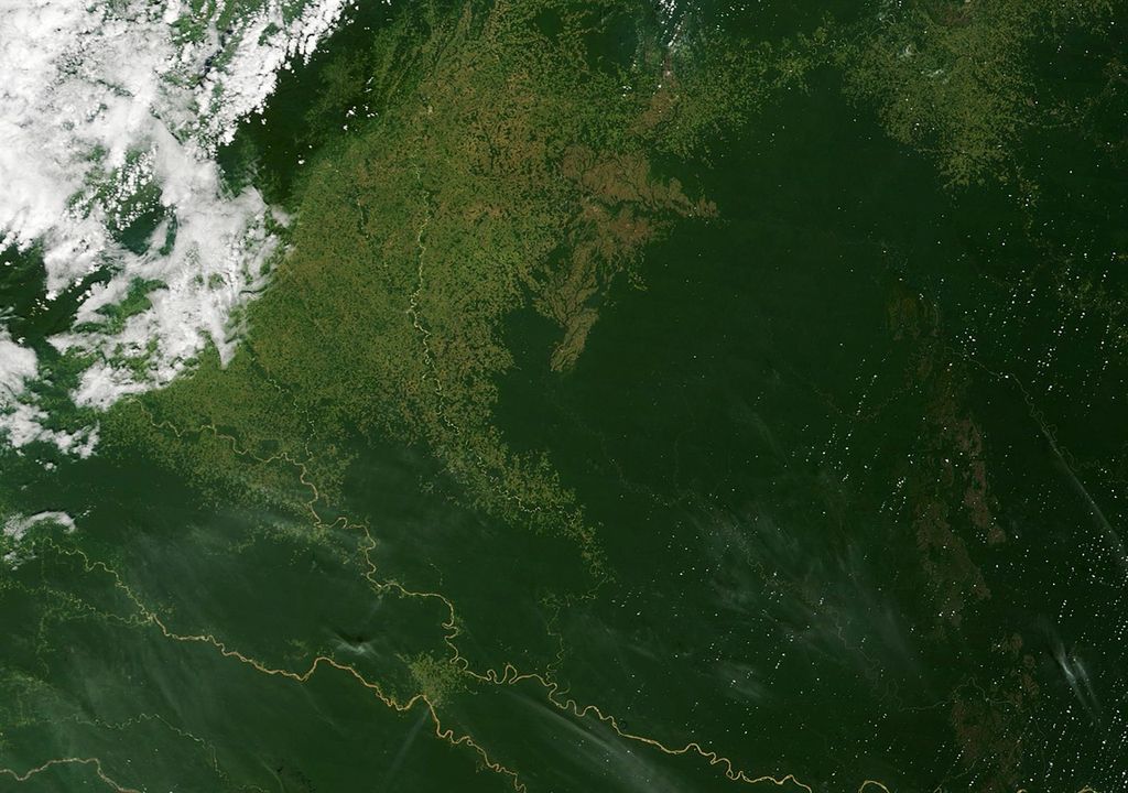 Making Sense of Amazon Deforestation Patterns - NASA Science
