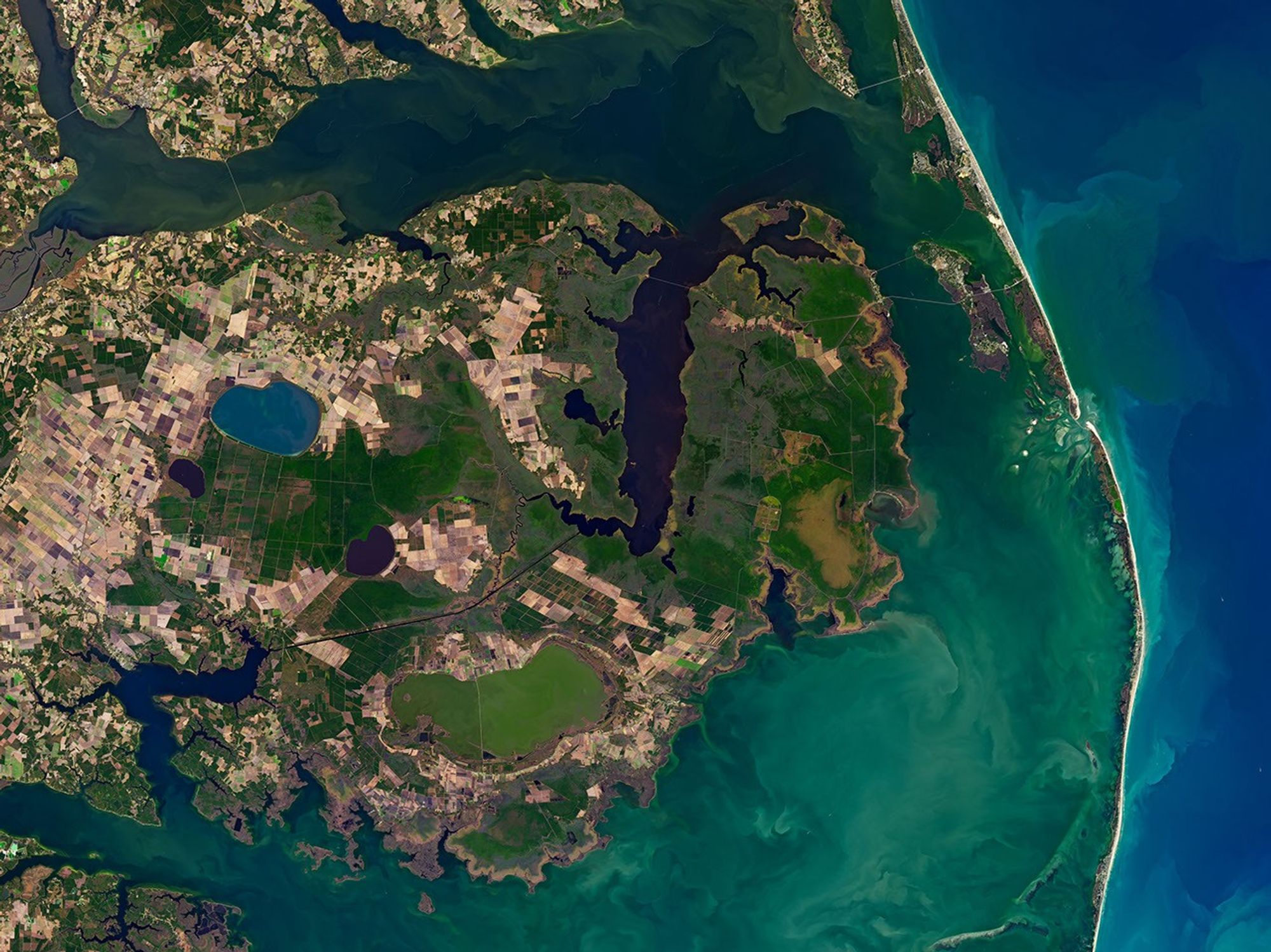 A Peninsula of Pocosin - NASA Science