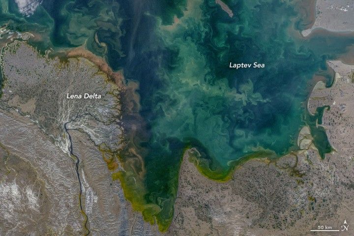 laptev sea