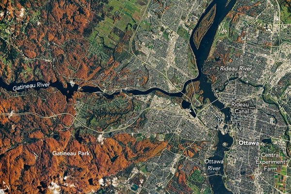 California’s Rising and Sinking Coast - NASA Science
