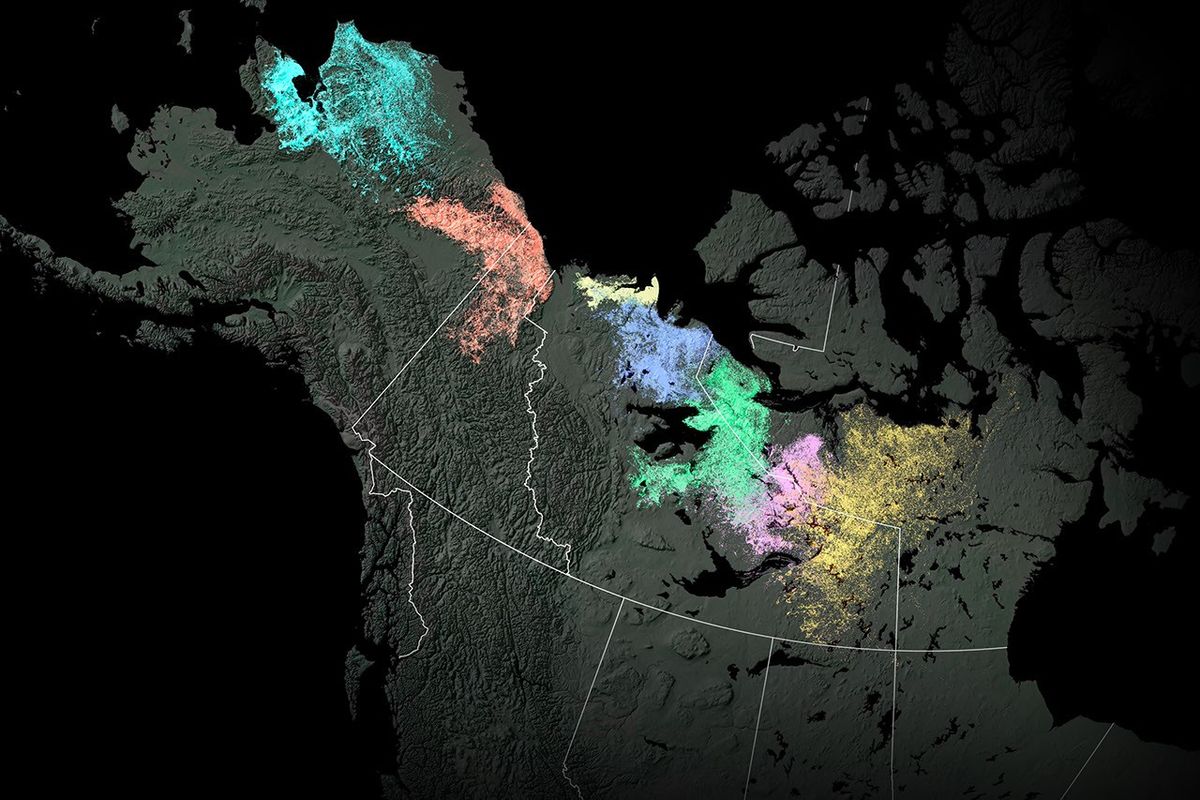 Caribou on the Move - NASA Science