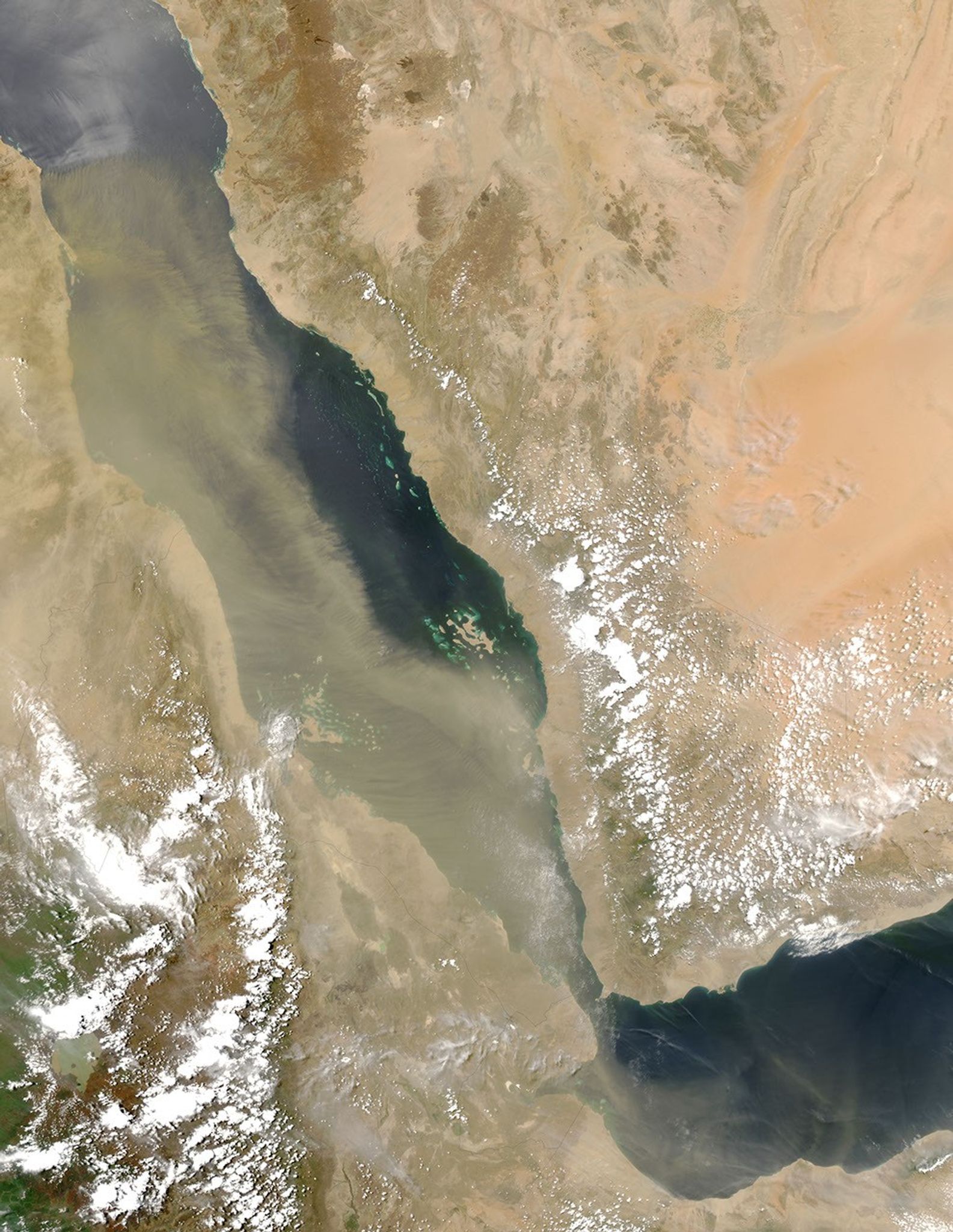 Dust Storm over the Red Sea - NASA Science