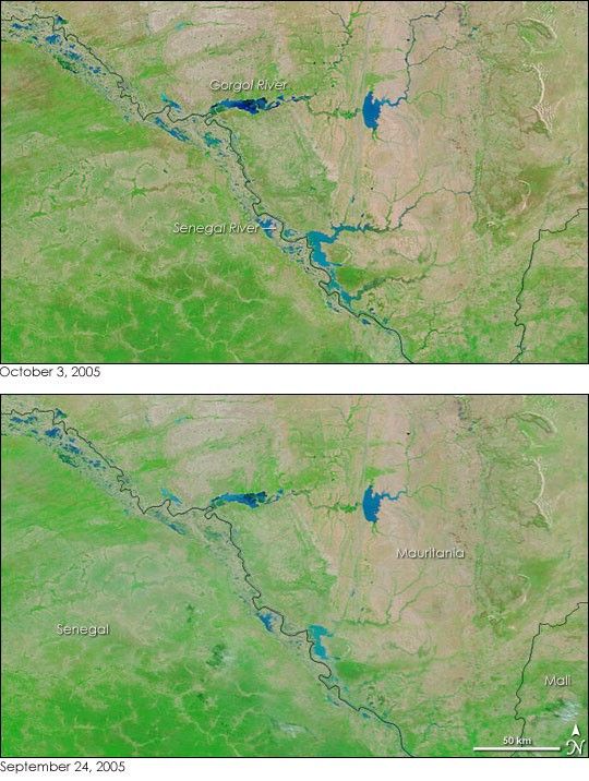 Floods in Mauritania - NASA Science