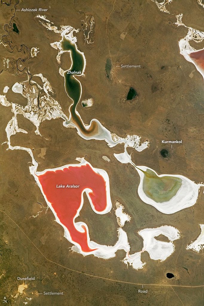 Salt Lake Colors, Kazakhstan - NASA Science