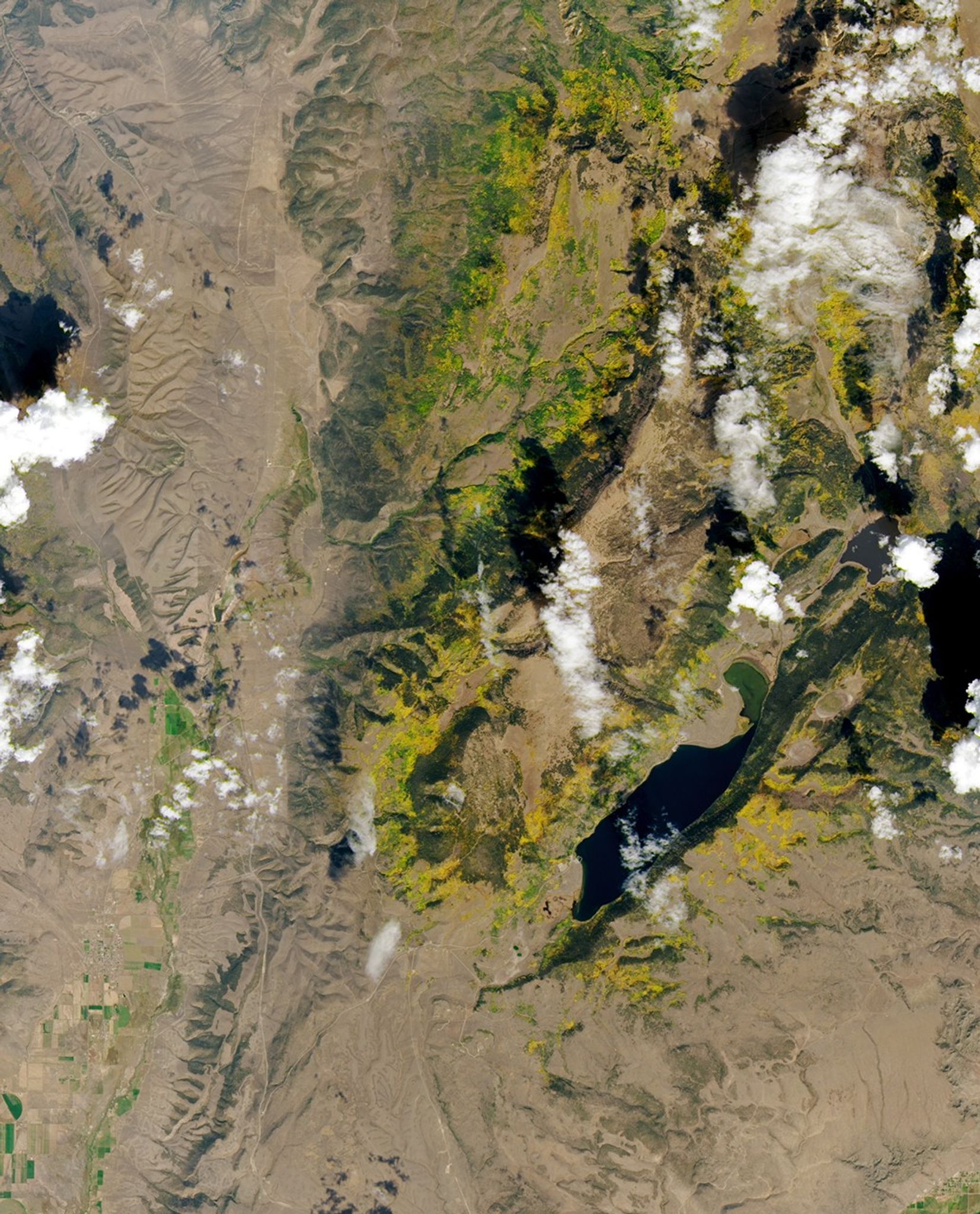 Saving a Forest of One - NASA Science