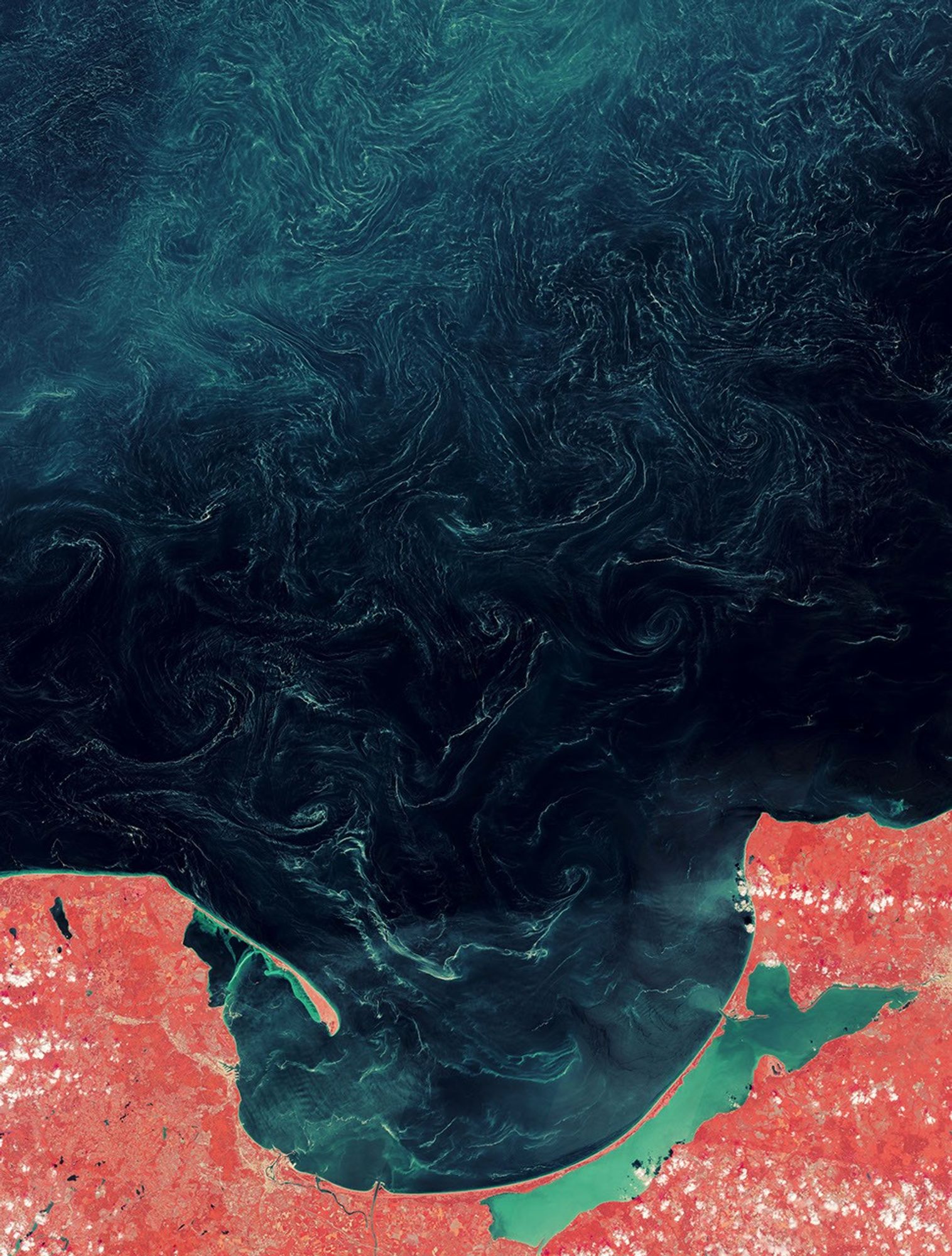 Sea of Pollen Visible From Space - NASA Science