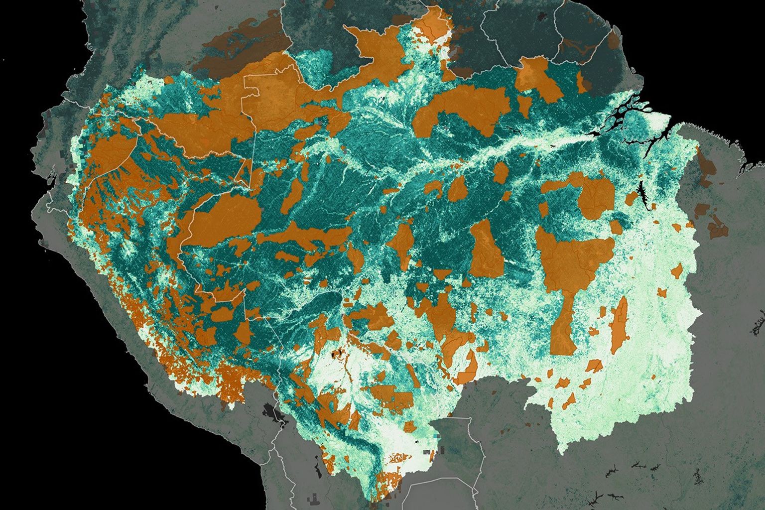 Indigenous Communities Protect the Amazon - NASA Science