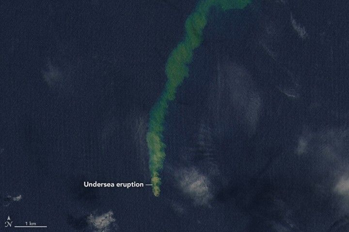 shark volcano eruption 2024