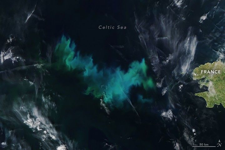 celtic sea